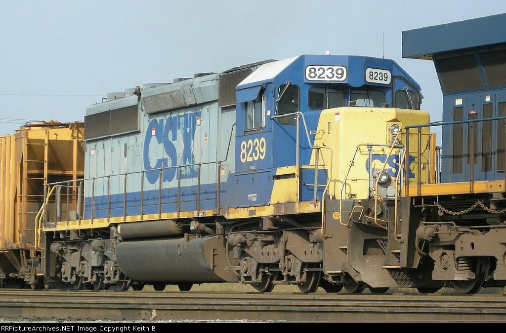 CSX 8239